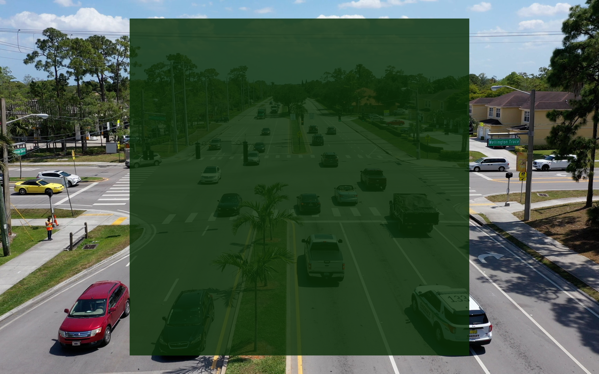 Wellington Vision Zero