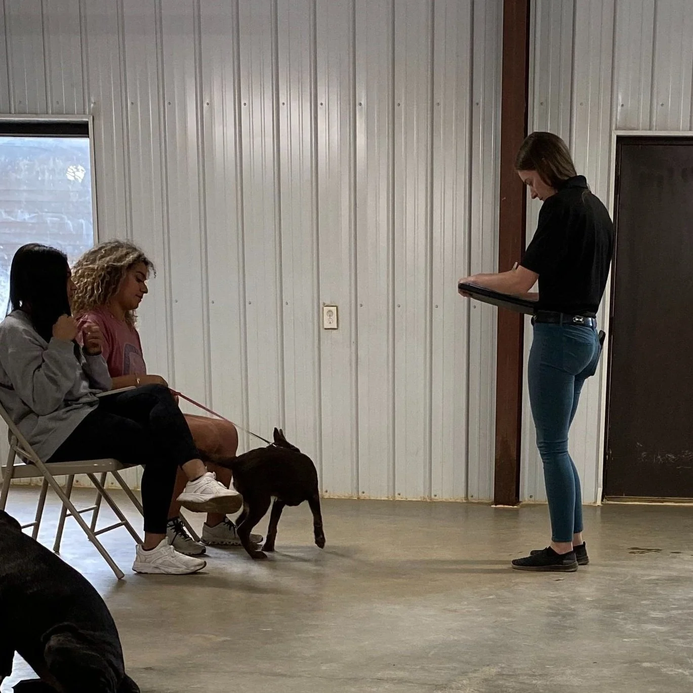 Private Dog Training Sessions — BARK University