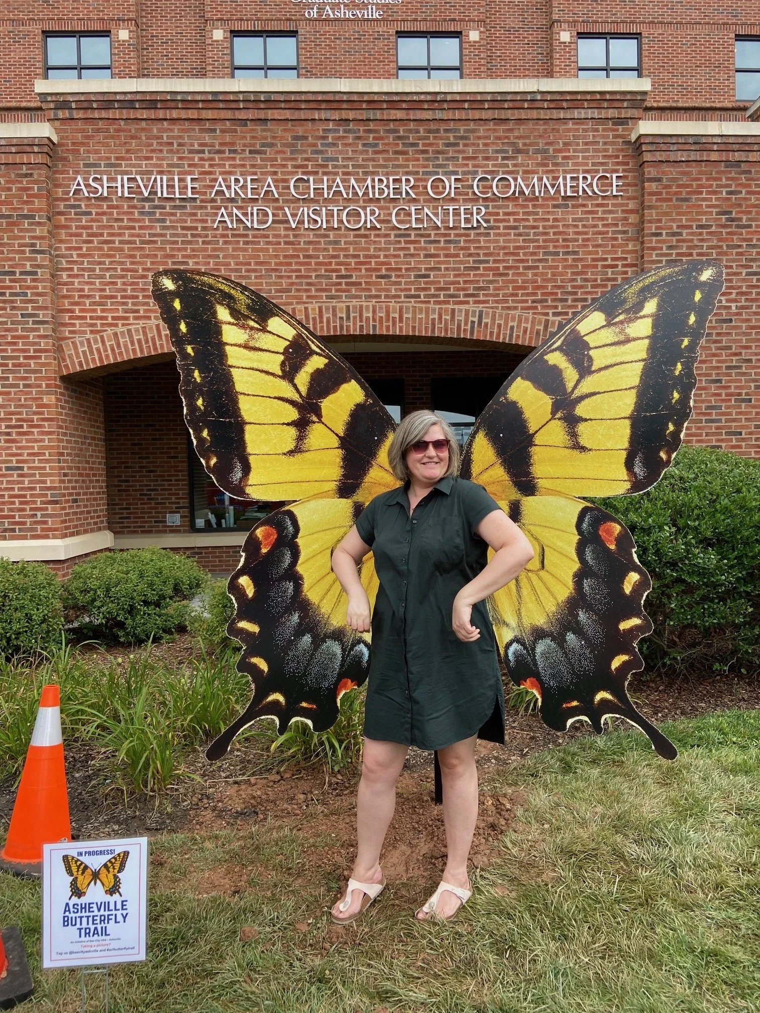 Eastern Tiger Swallowtail — Bee City Asheville