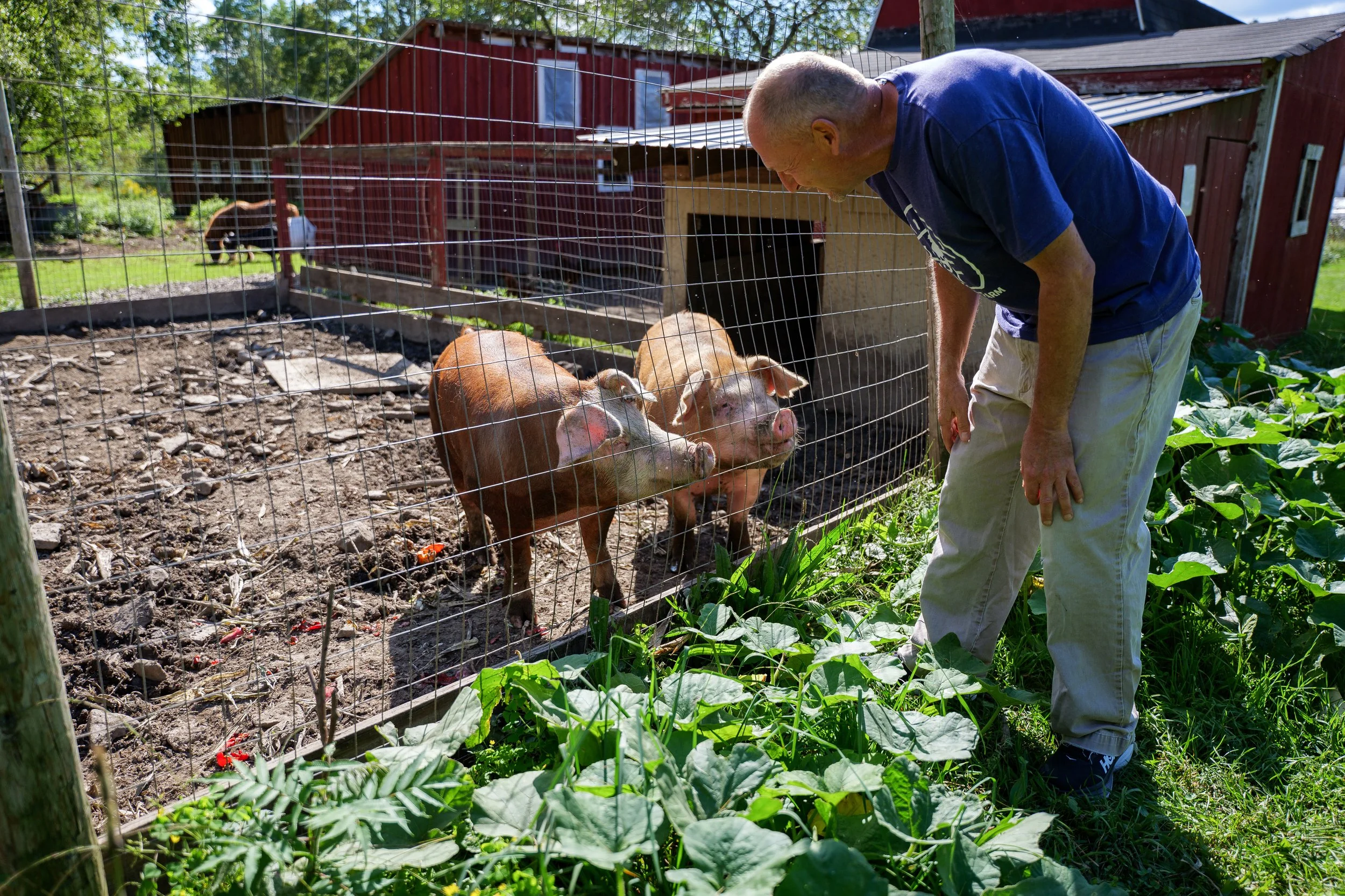 Hust Roost Farm — Grown in Broome