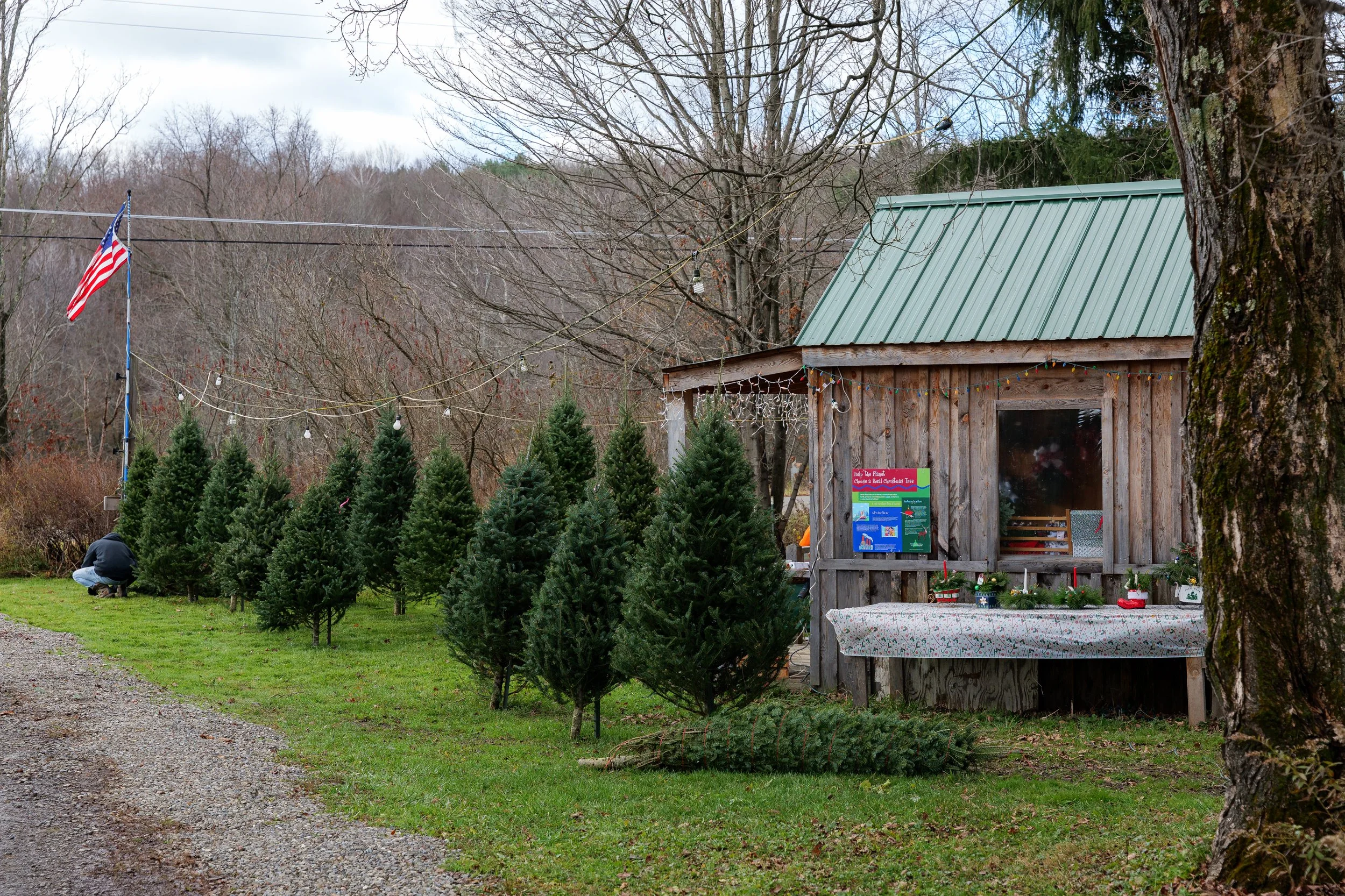 4 Seasons Farm — Grown in Broome