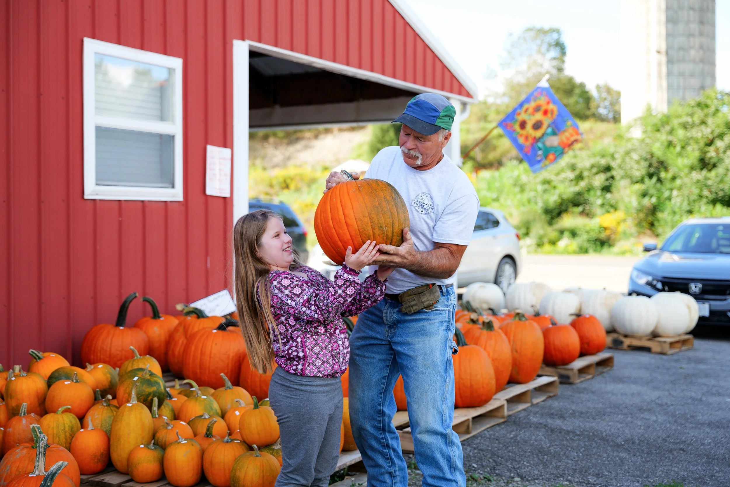Valley View Farm Fresh Produce — Grown in Broome