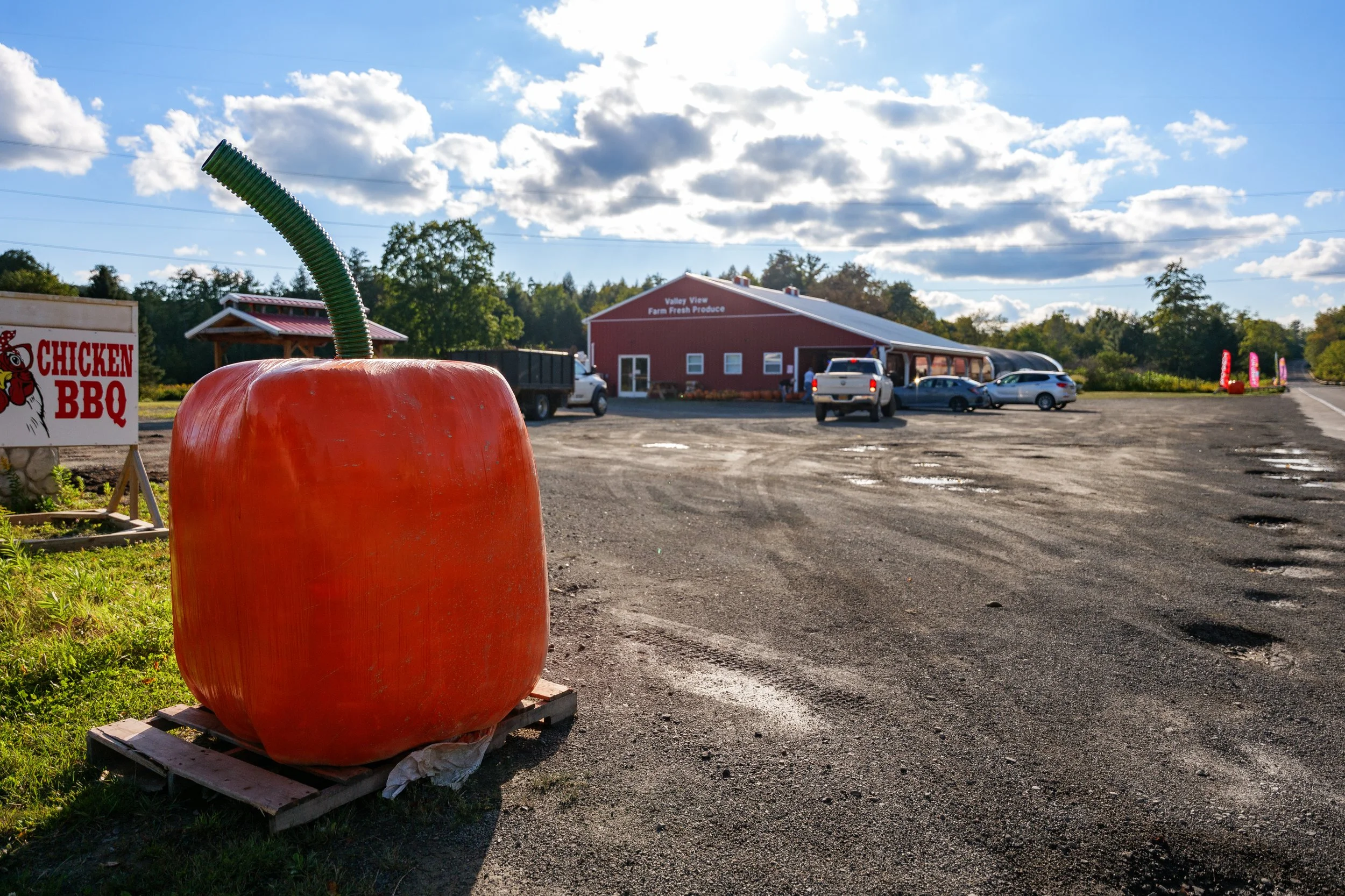 Valley View Farm Fresh Produce — Grown in Broome