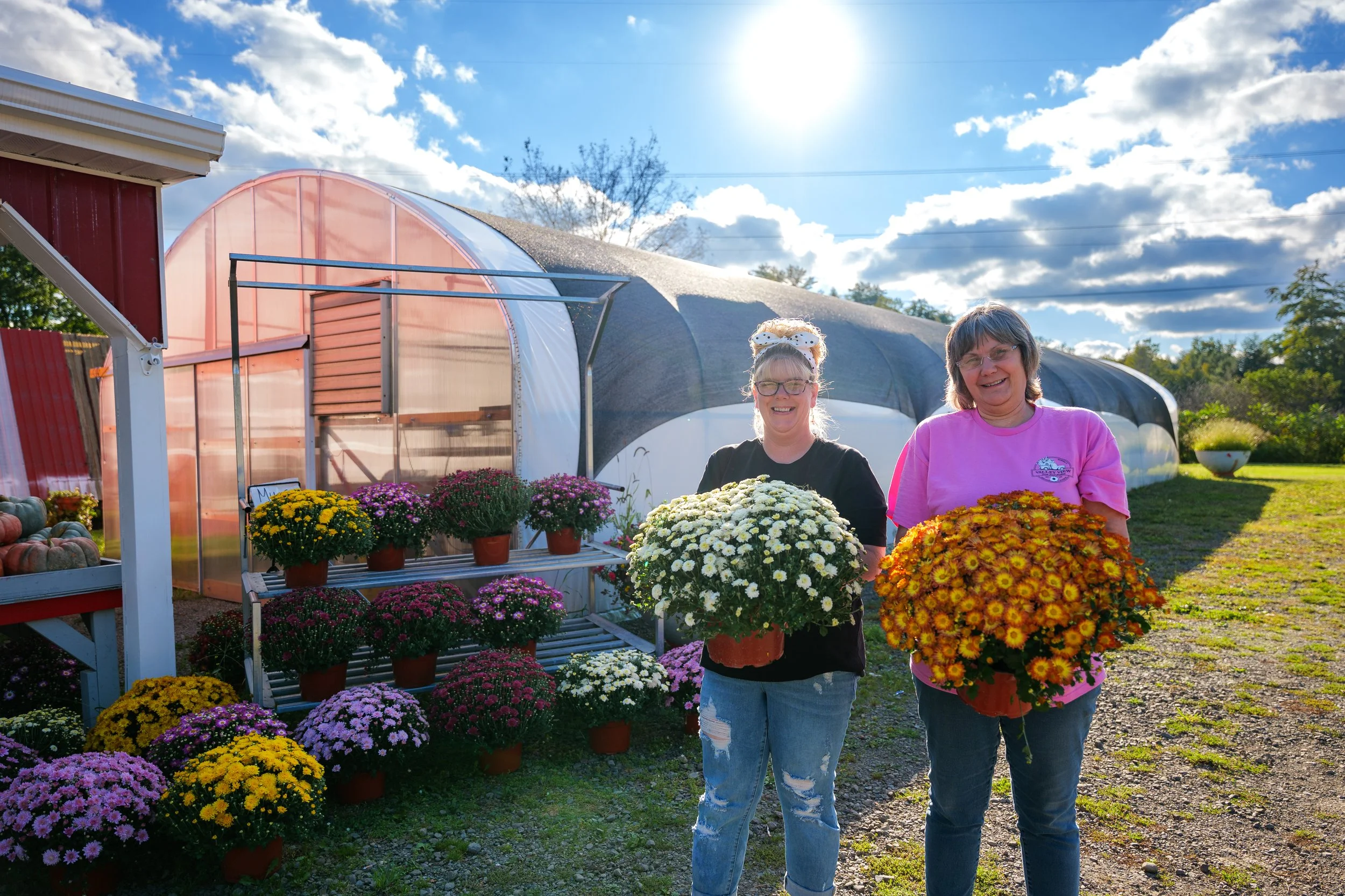 Valley View Farm Fresh Produce — Grown in Broome