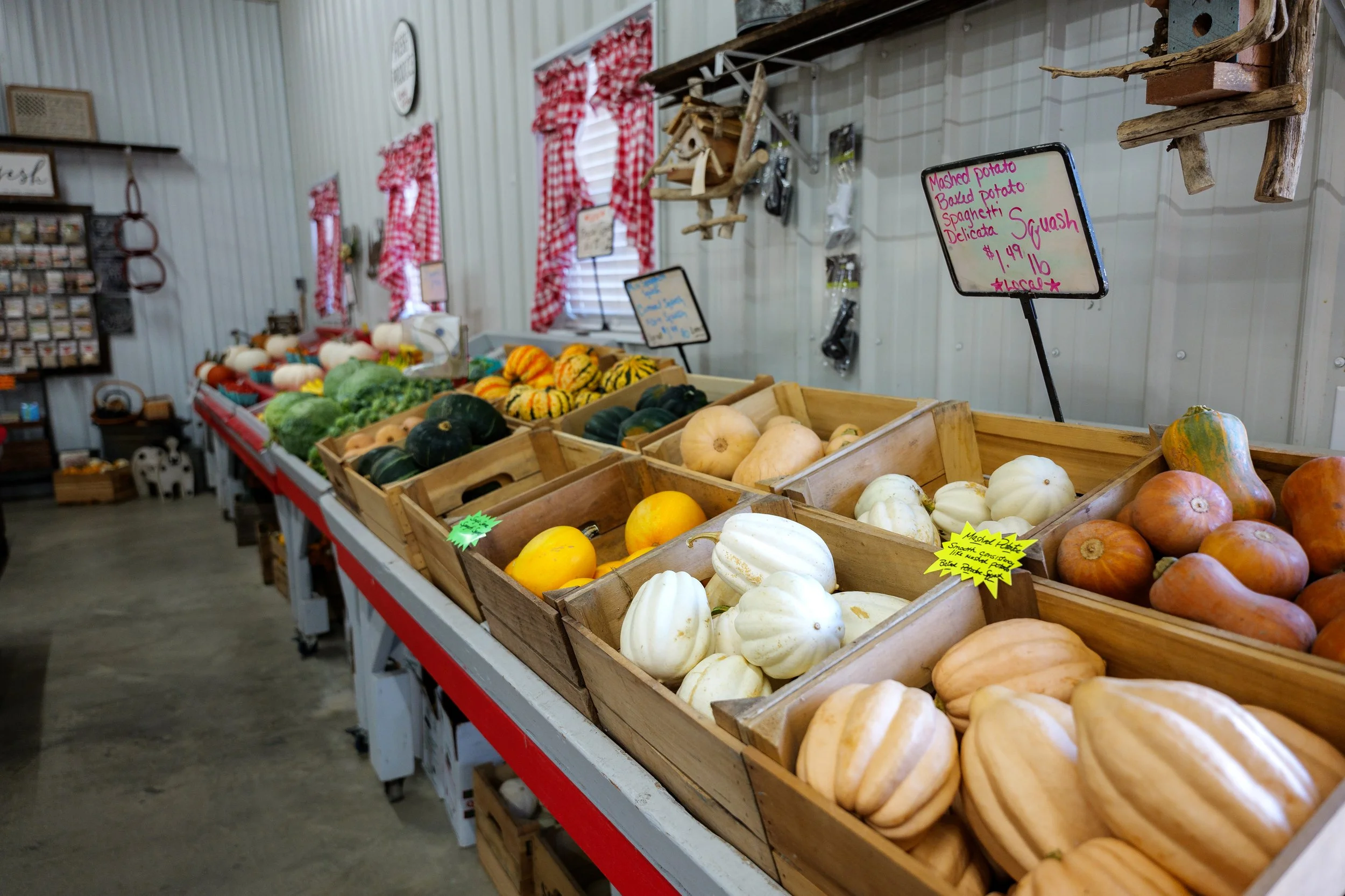 Valley View Farm Fresh Produce — Grown in Broome