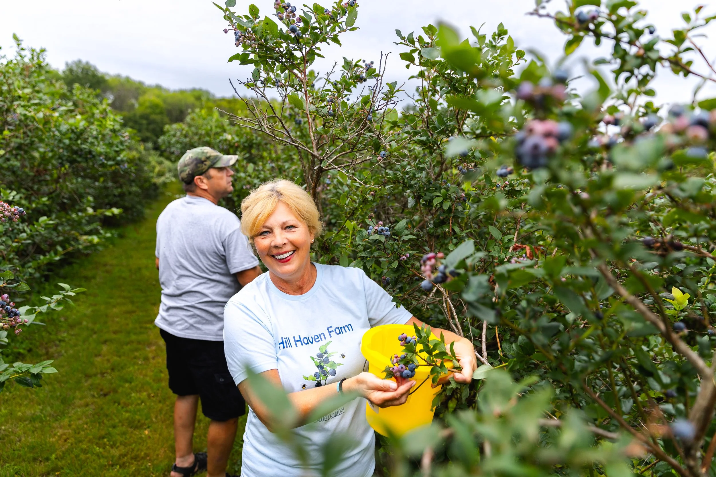 Hill Haven Farm — Grown in Broome