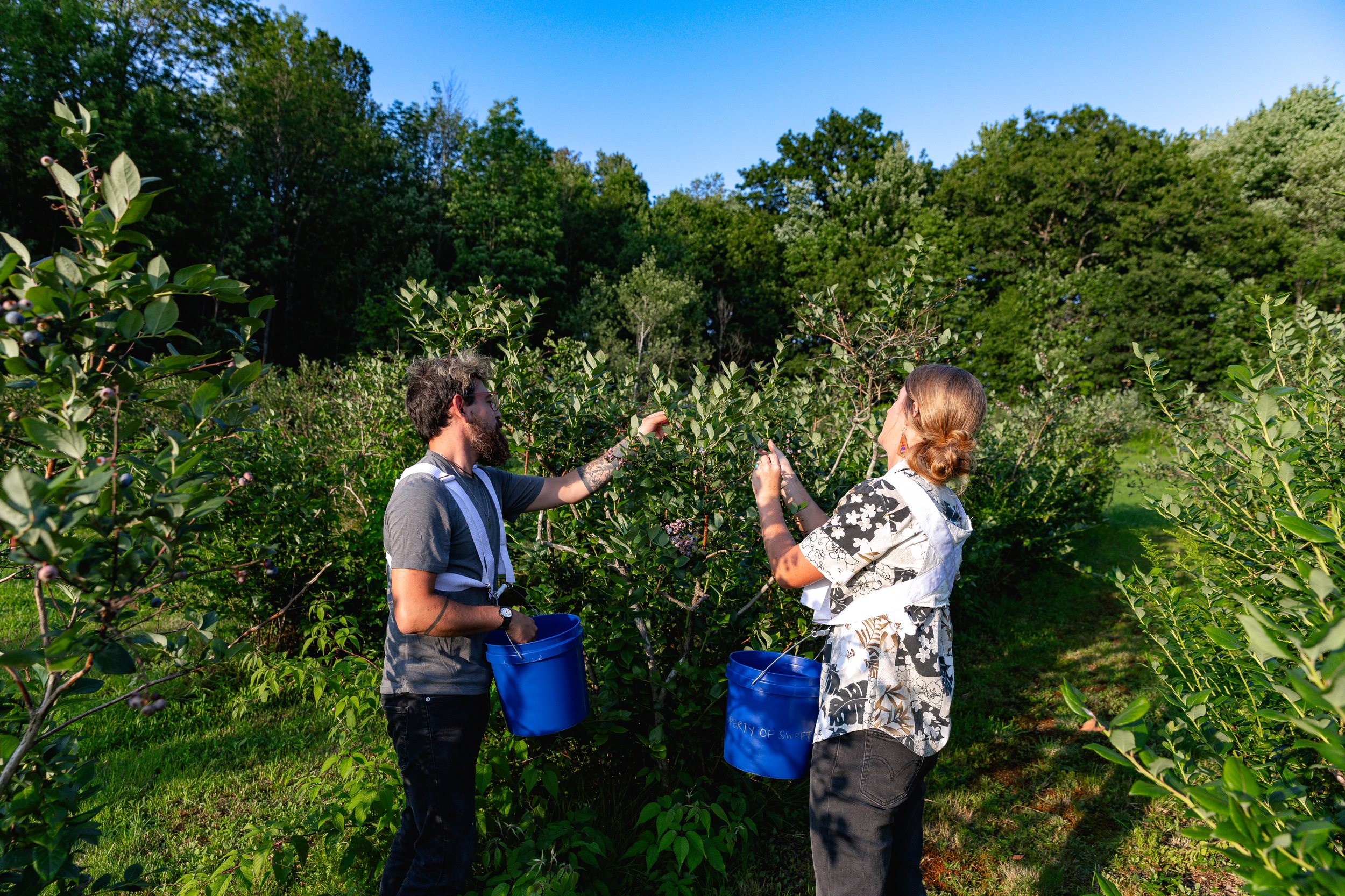 Sweet Indigo Farm — Grown in Broome
