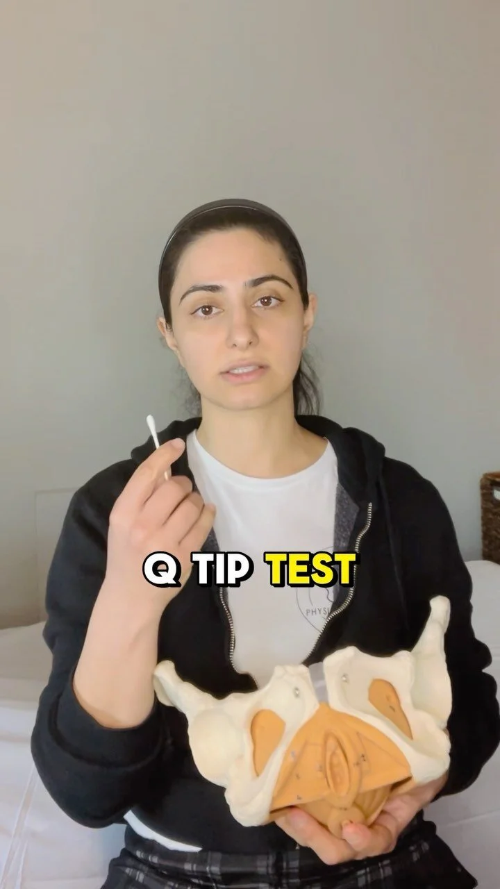 About The Pelvic Model Physical Therapy — Pelvic Therapy in Pasadena ...