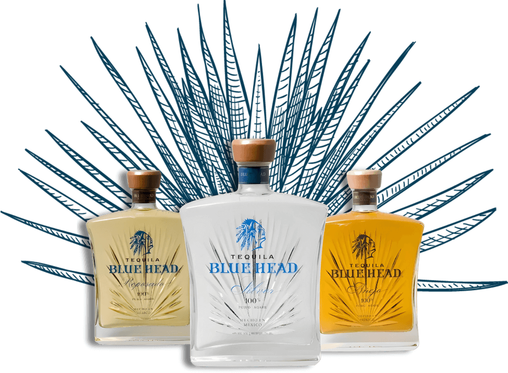 Blue Head Tequila The Spirit Of Mexico邃