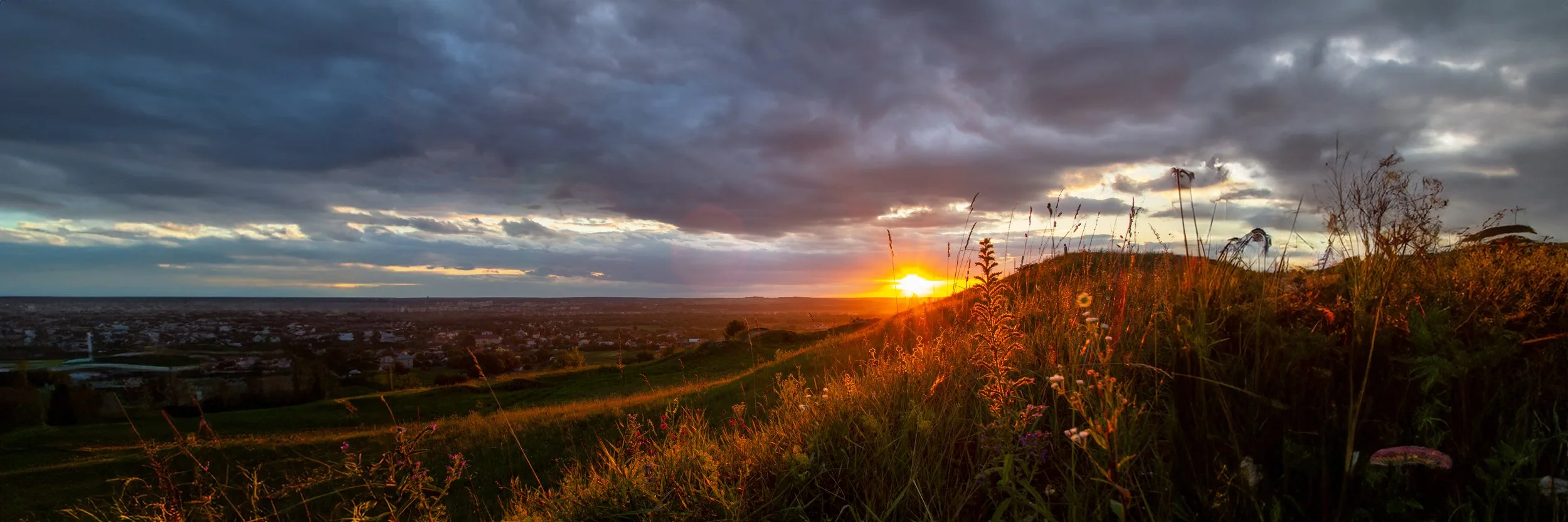 Patients & Families — Degos Disease Foundation