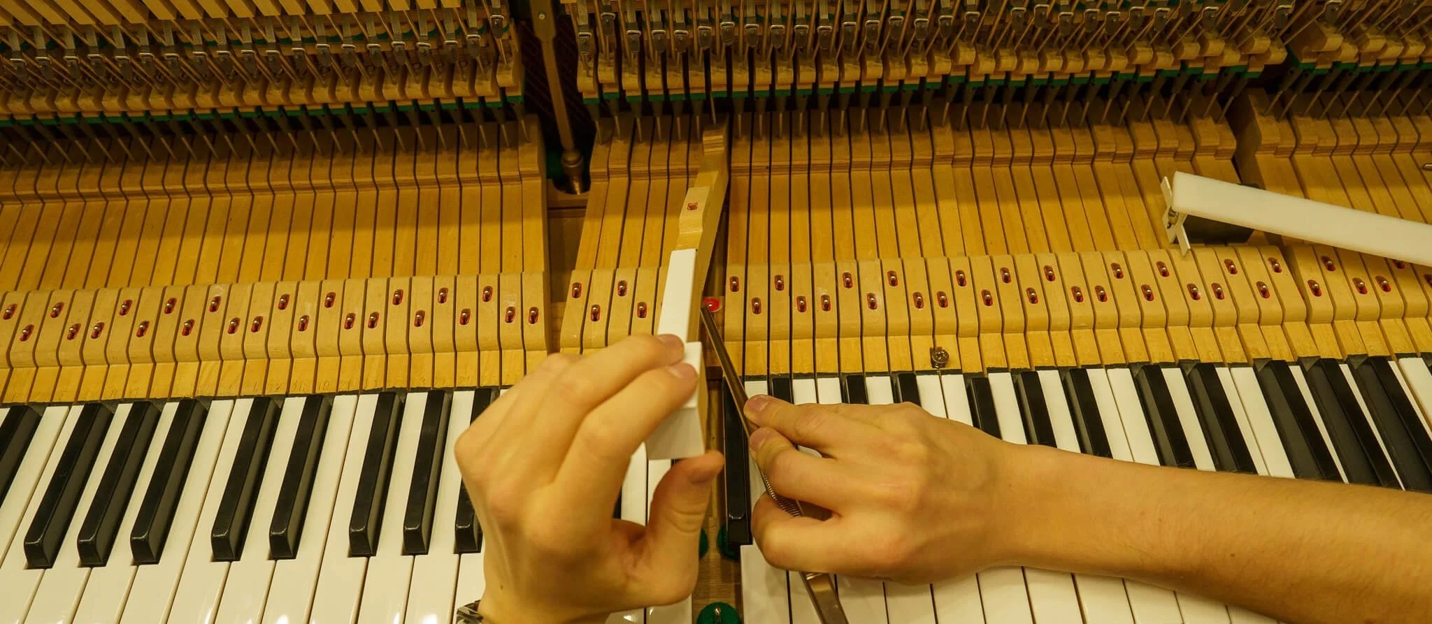 Instruments — Lorenz Piano | Accordage Réparation Accordeur Piano Lyon