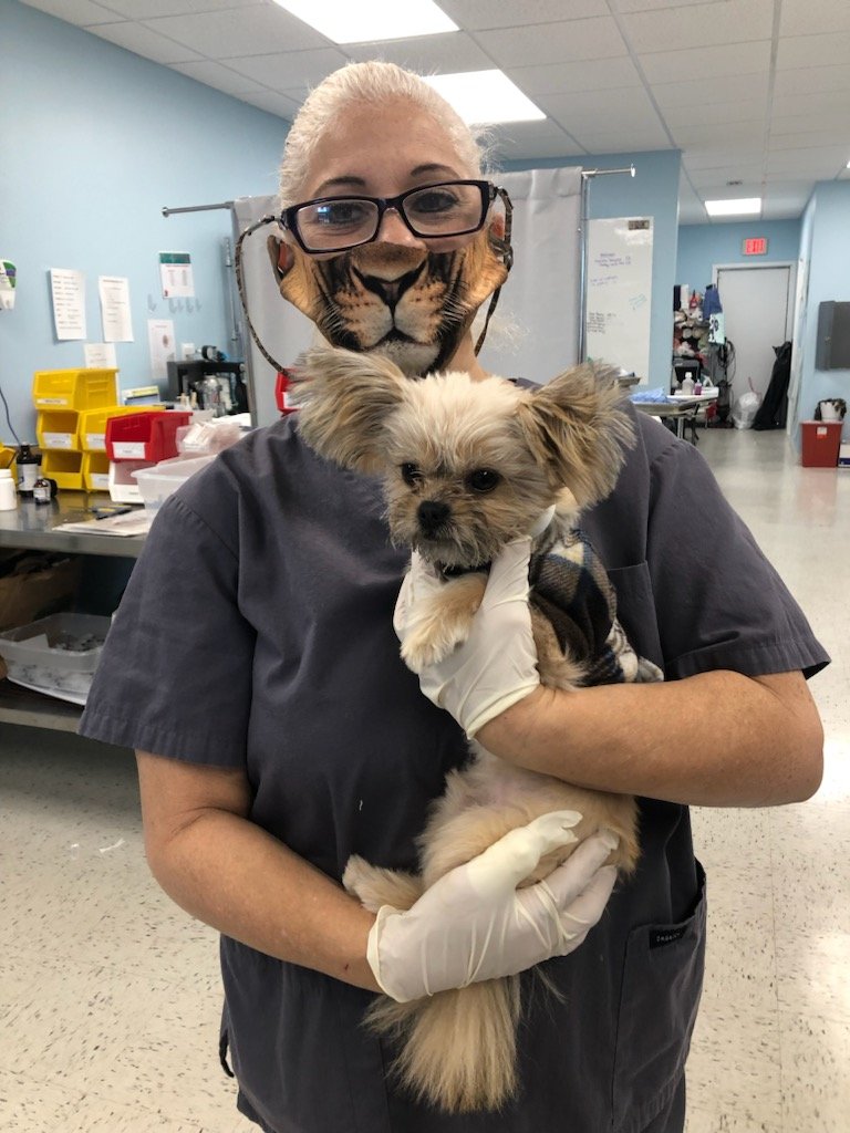 Our Staff — Helping Promote Animal Welfare