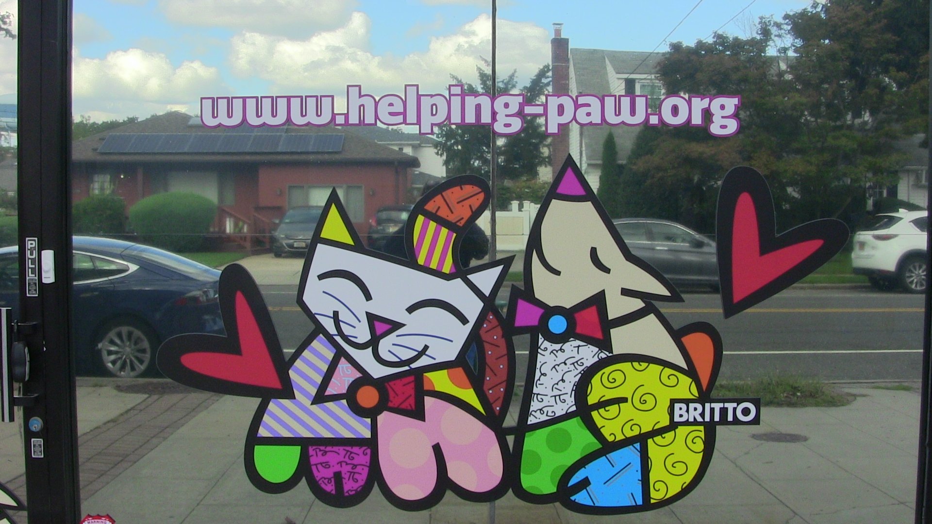 Helping Promote Animal Welfare