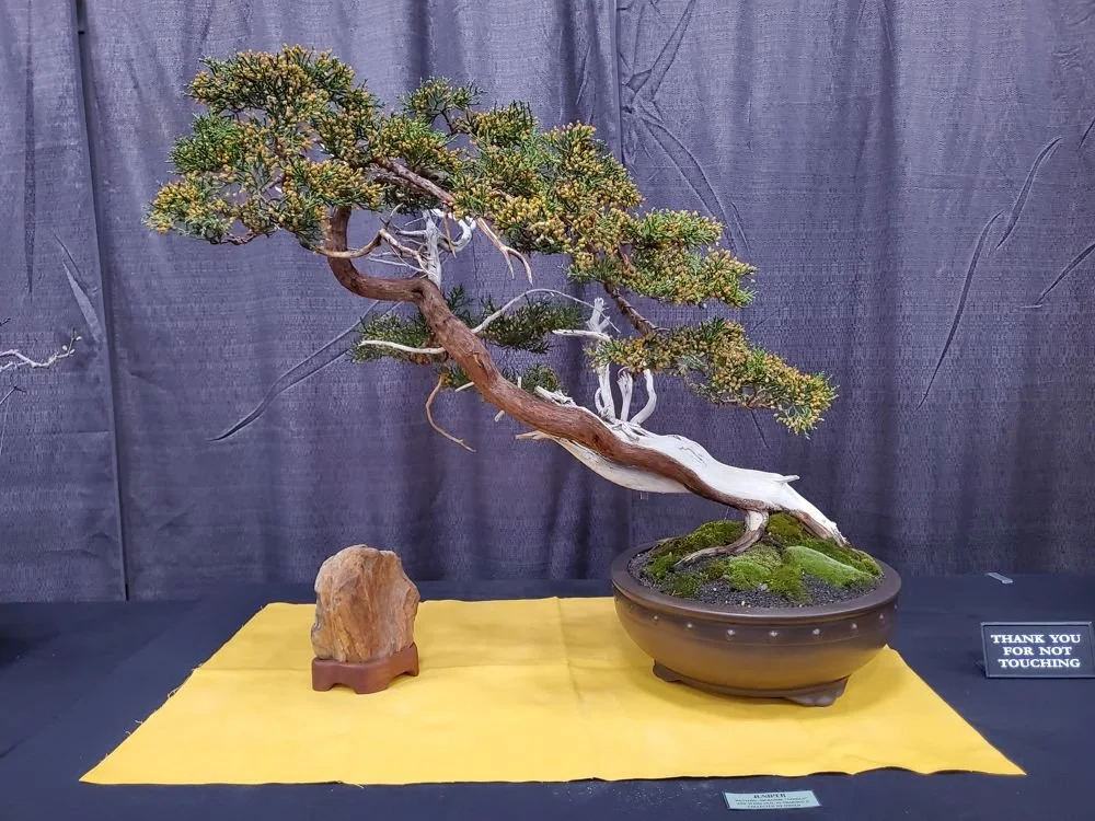 Boise Bonsai Society