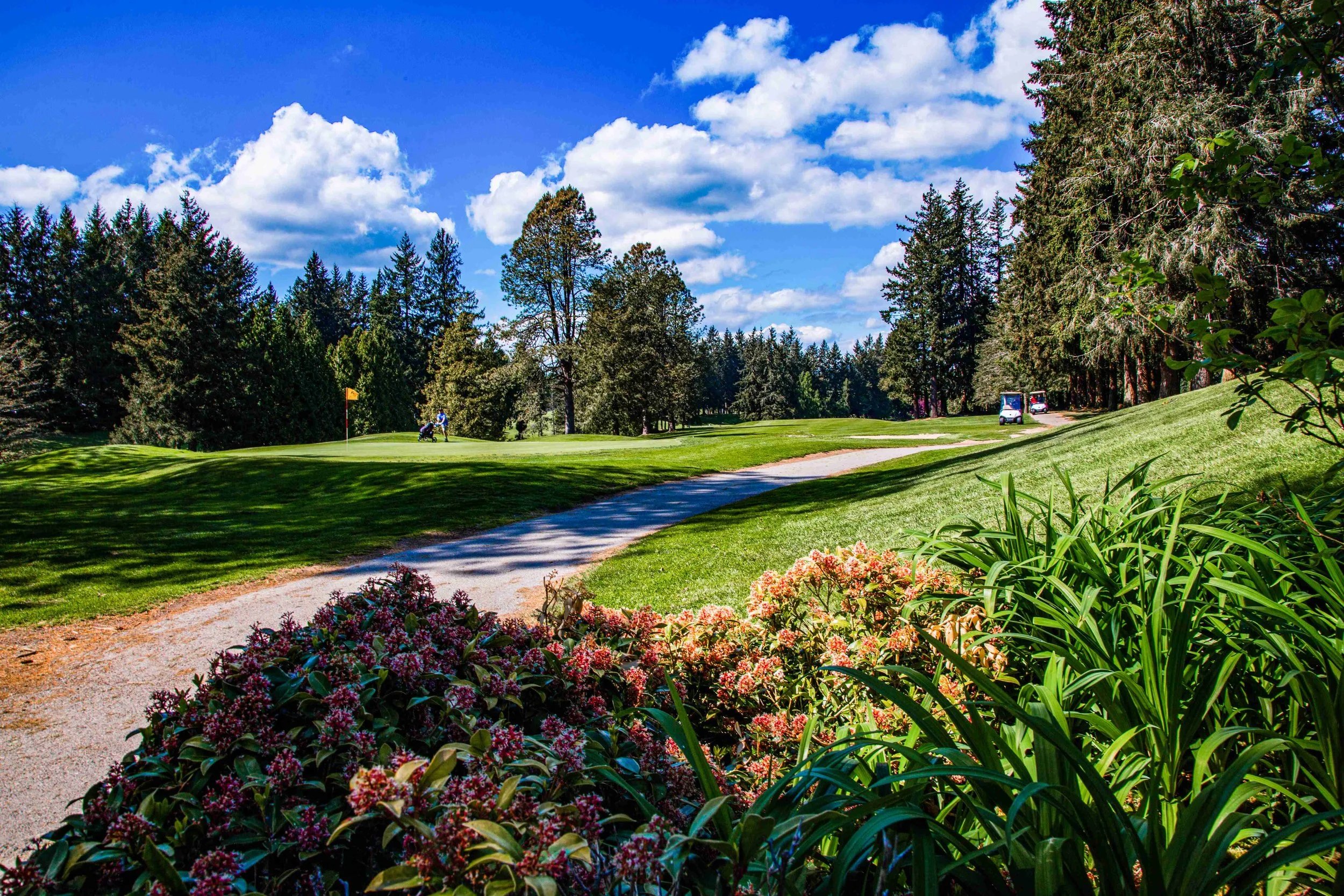 The Hills at Portal Golf Club