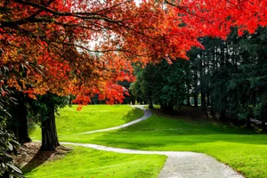 The Hills at Portal Golf Club