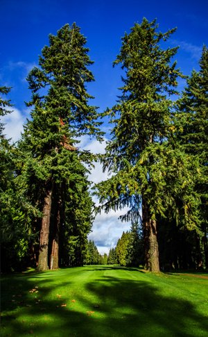 The Hills at Portal Golf Club