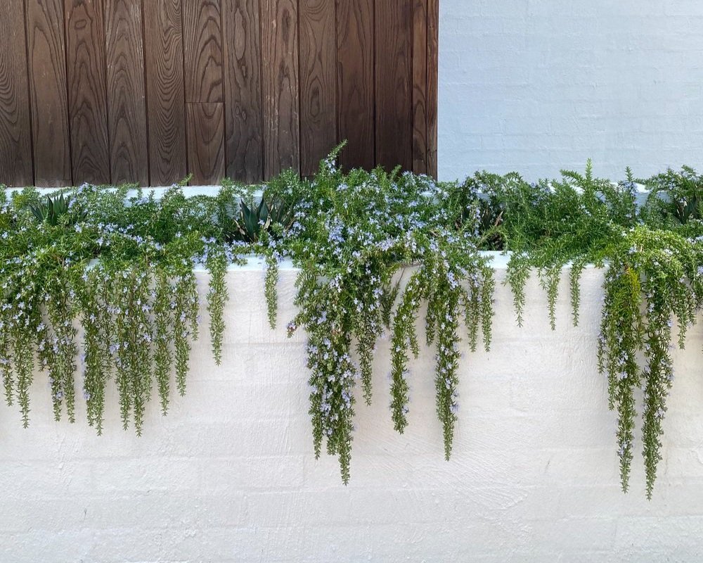 Project Melbourne — Miniscape Projects - Creative Landscape Design