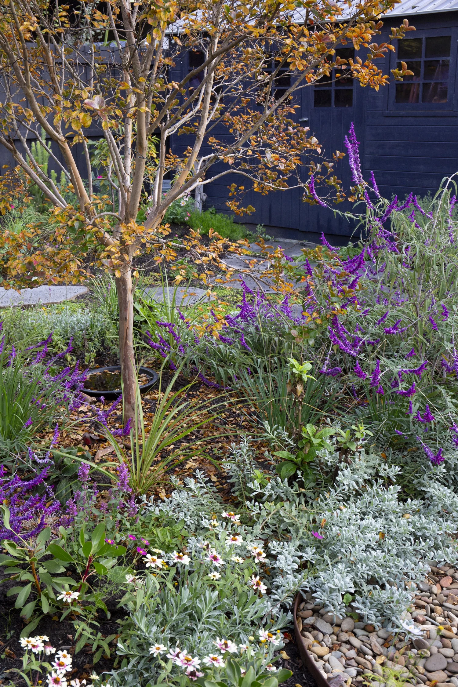Project Mitchell Brunswick — Creative Landscape Design | Melbourne ...