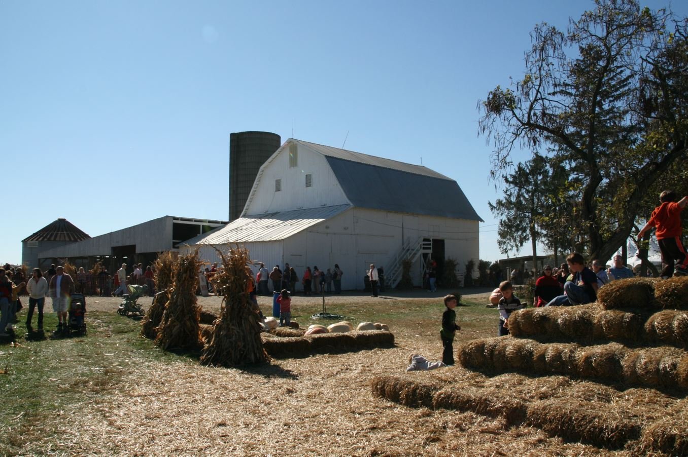 Fall Fun Days — Circle S Farm