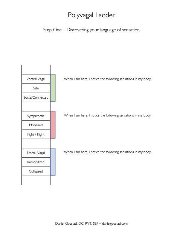 Polyvagal Ladder Worksheets and Diagrams — Daniel Gaustad, SEP ...
