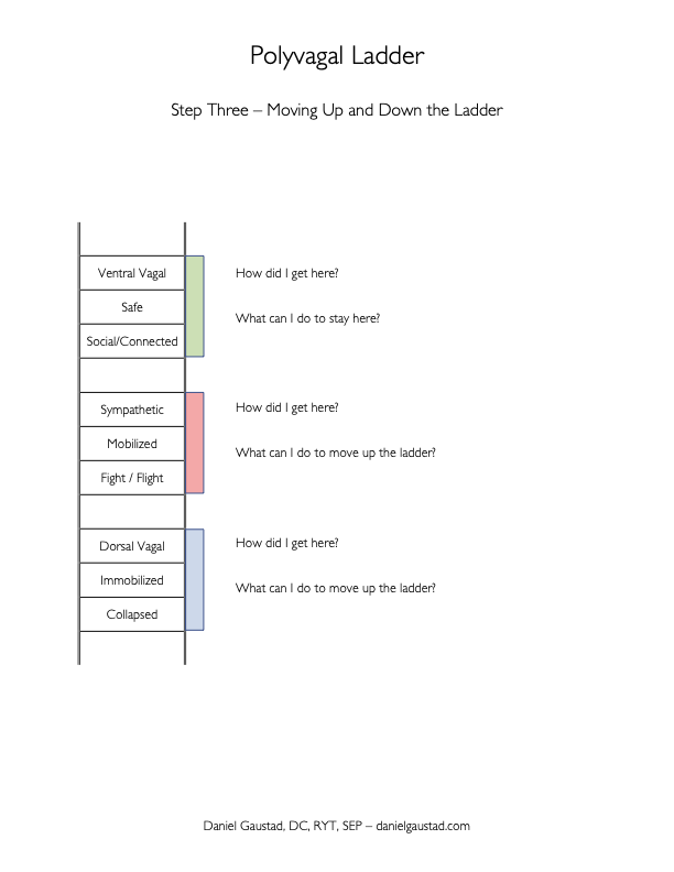 Polyvagal Ladder Worksheets and Diagrams — Daniel Gaustad, SEP ...