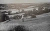 Our History — Pannal Golf Club