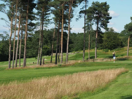 Open Competitions — Pannal Golf Club