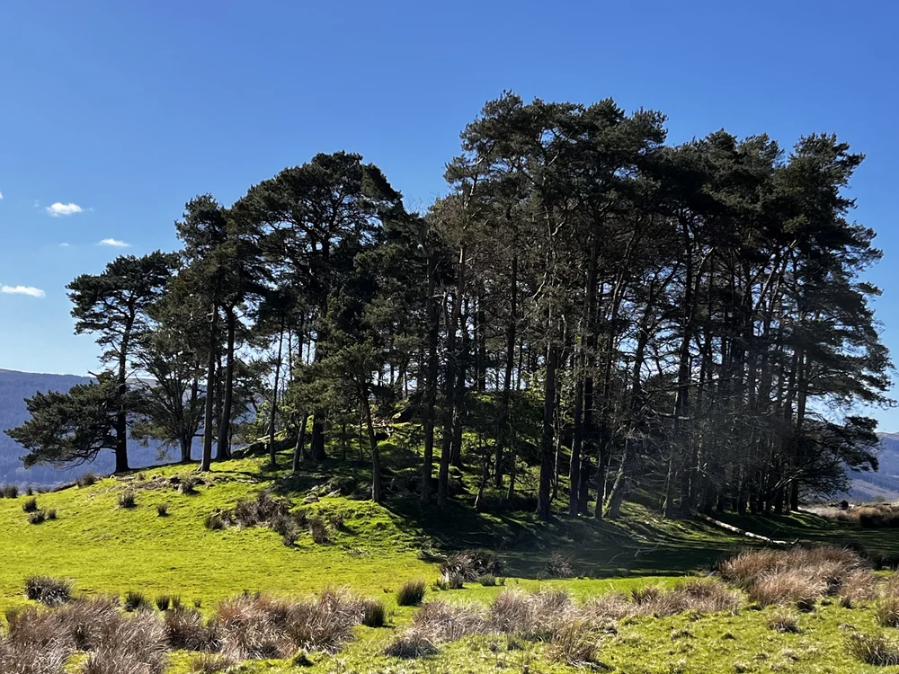 Cove and Kilcreggan Community