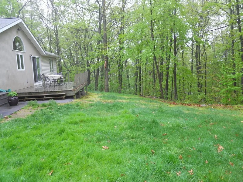 Suburban Backyard — Andrew Grossman Landscape Design