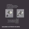 in the details - Galvanic Action + Valentines — FOXTAIL STUDIOS LLC