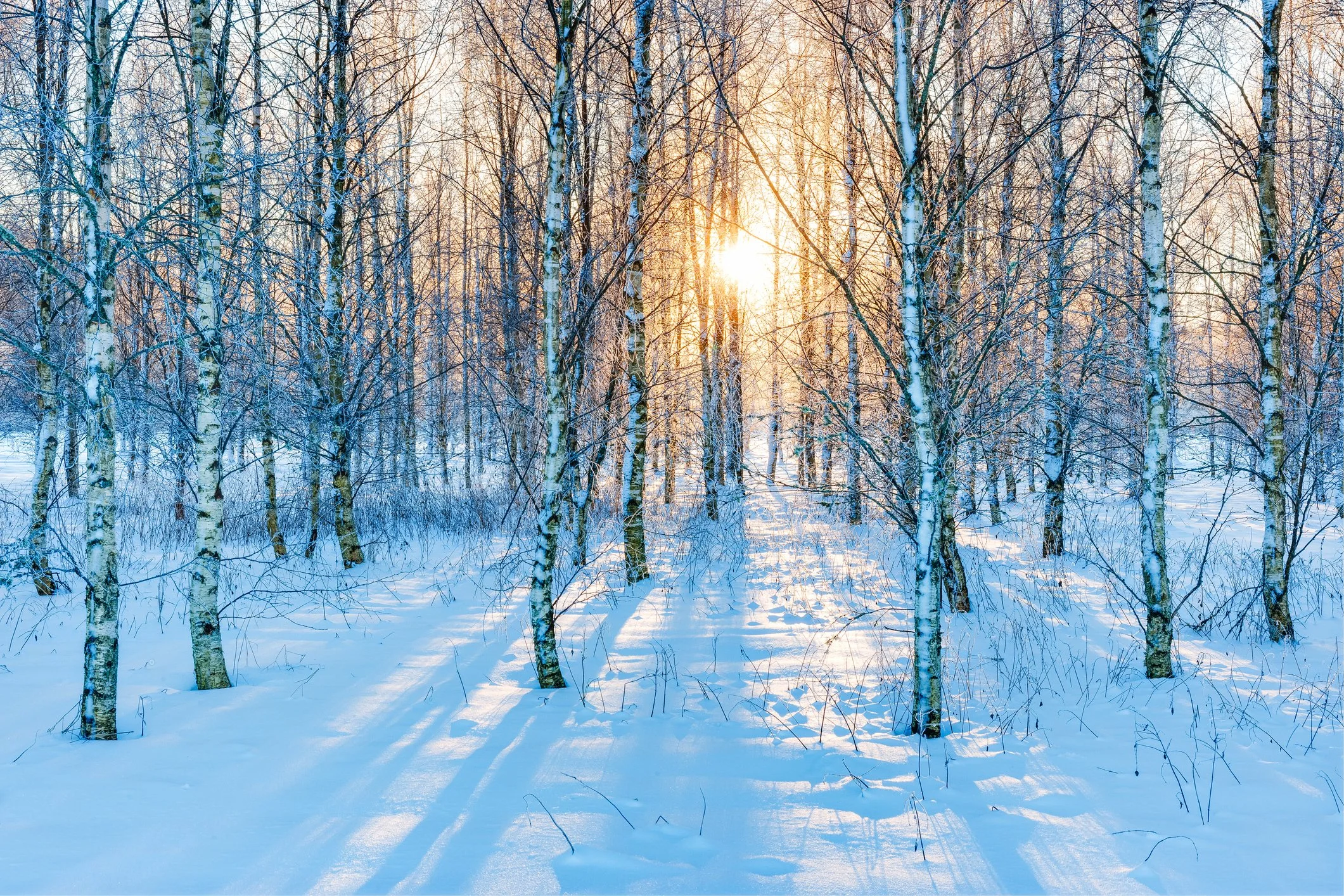 Innovative Endeavors - the HGL blog
