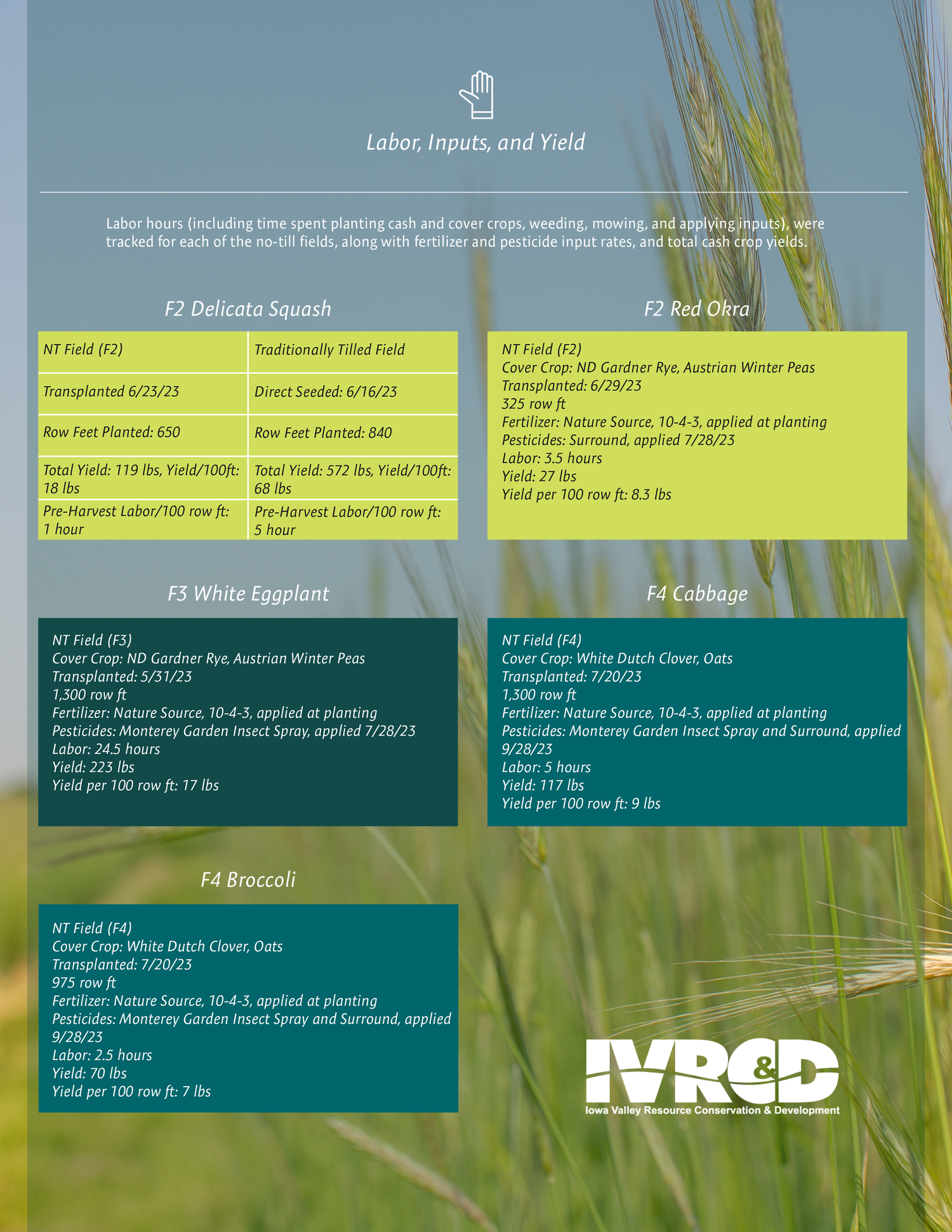 No Till Vegetable Trial — Iowa Valley RC&D