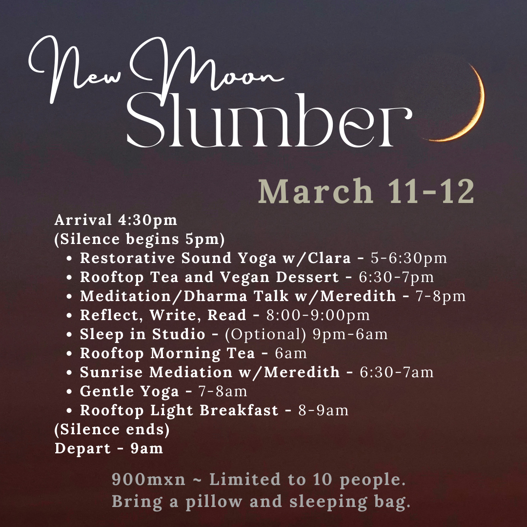 Classes/Workshops — Aguacates Pacificos