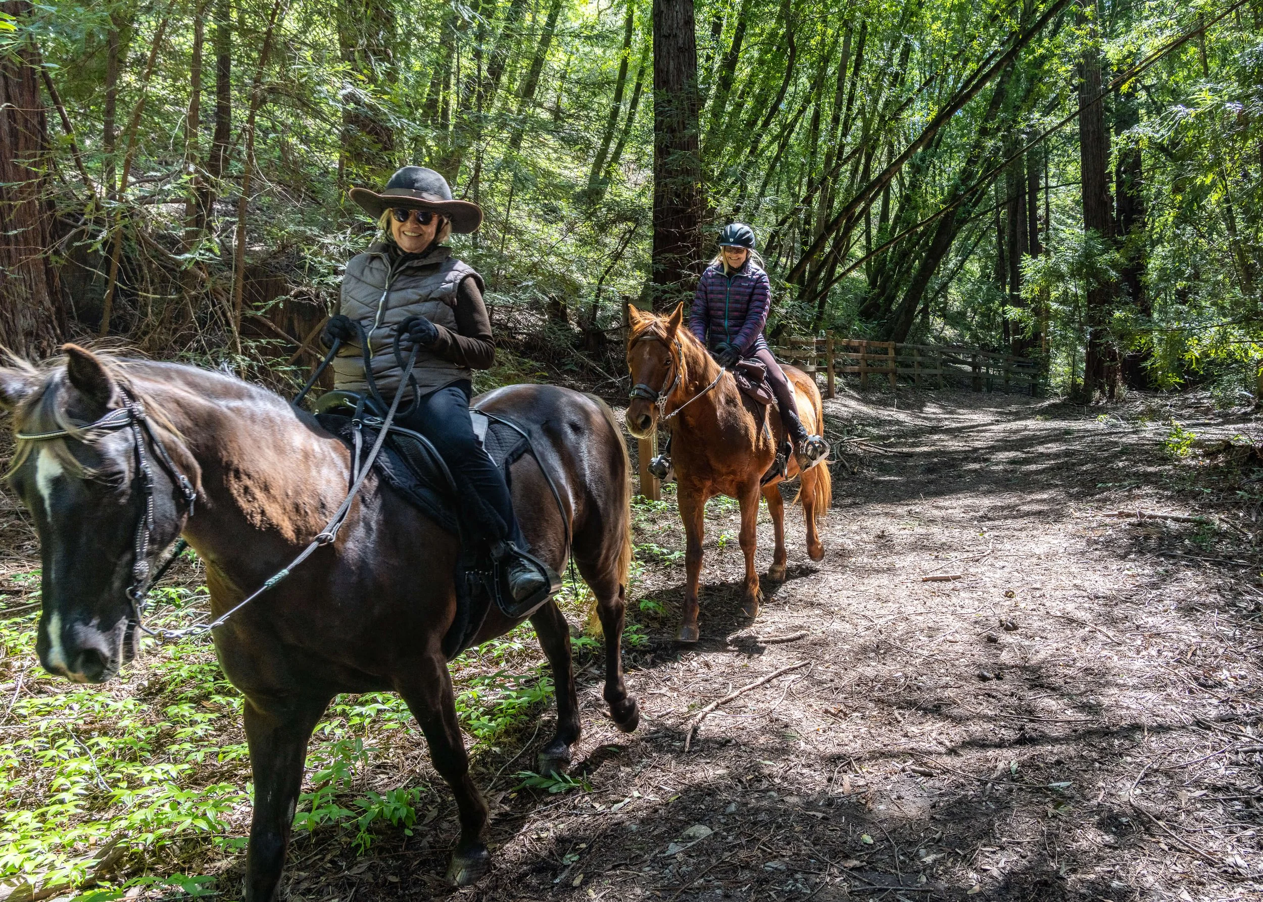 Trail Riding | Explore Trails Safely Today — Marin Horse Council