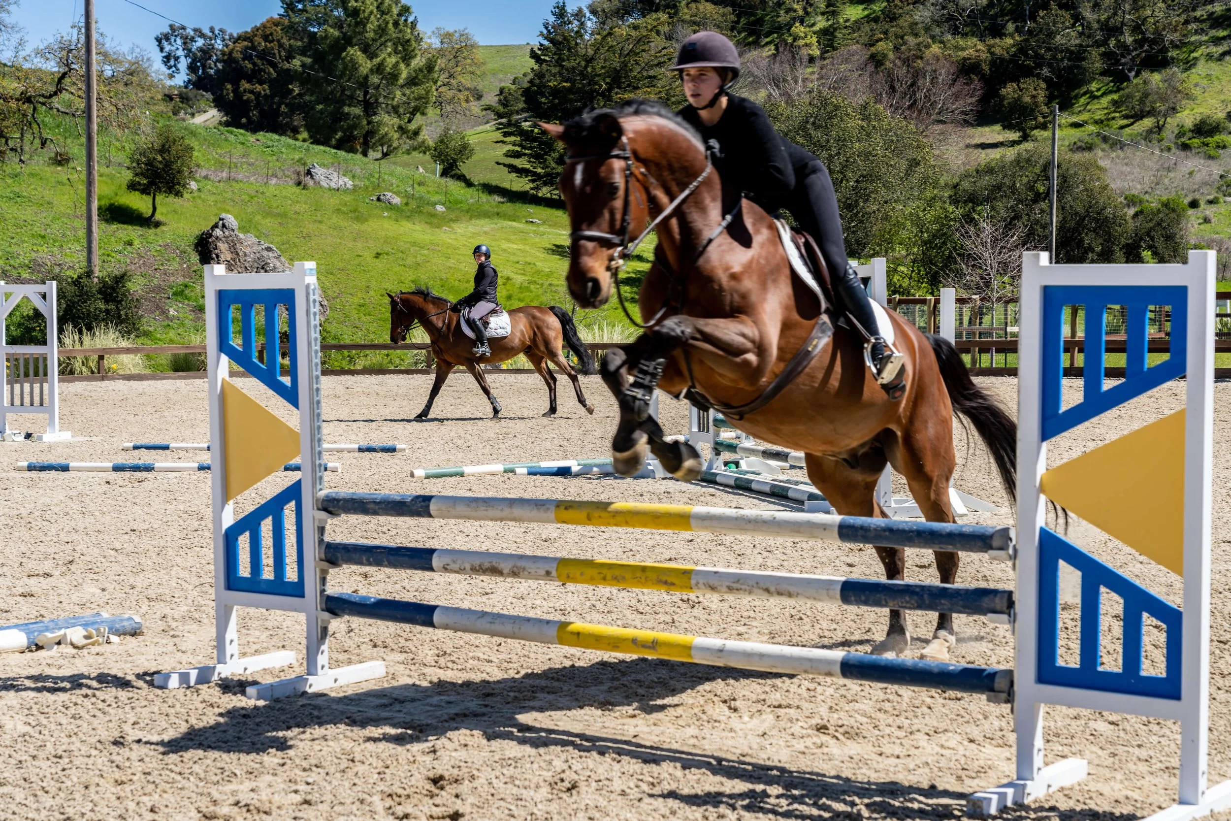 Awards Luncheon | Celebrate Equestrian Excellence Today — Marin Horse ...