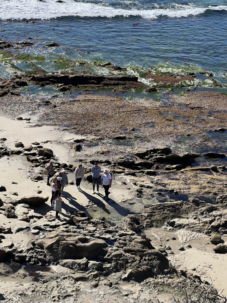 How to Tidepool — Laguna Ocean Foundation