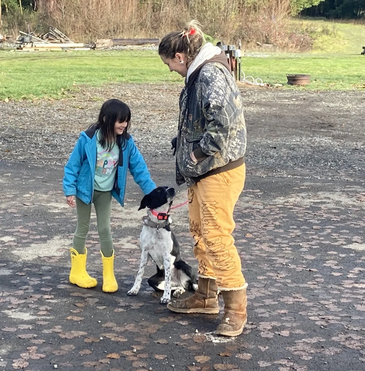 PNW Precision Canine