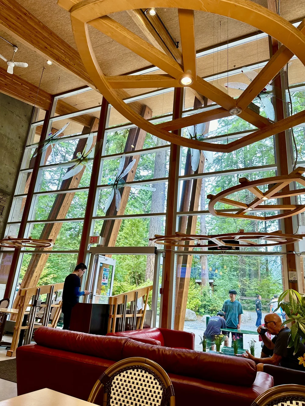 LYNN CANYON CAFÉ | Visit, Savor, Explore Today