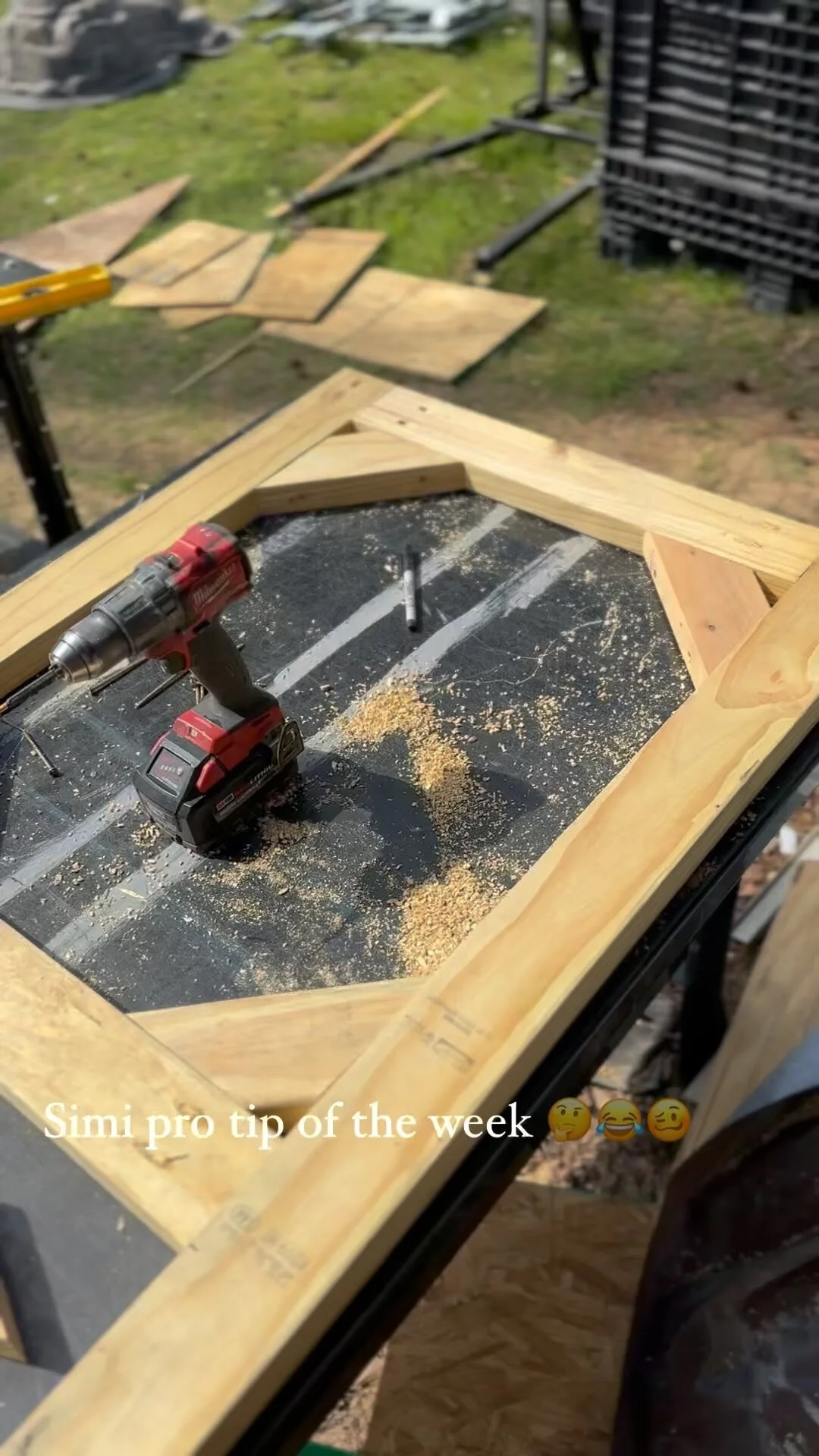 NON GMO Chicks and Chickens in Conroe Texas