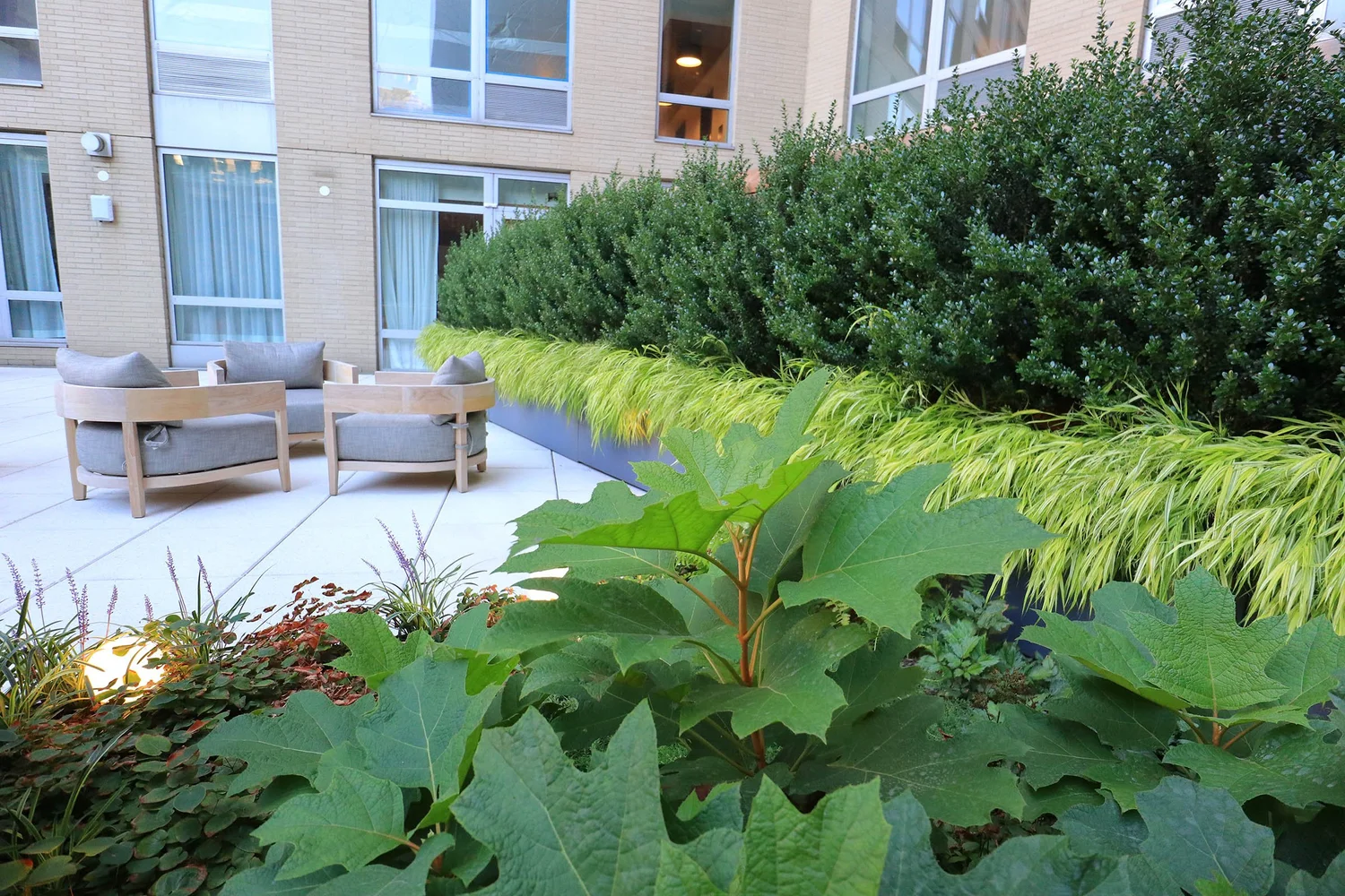 TOWN & GARDENS - Elevating Landscape Design in NYC