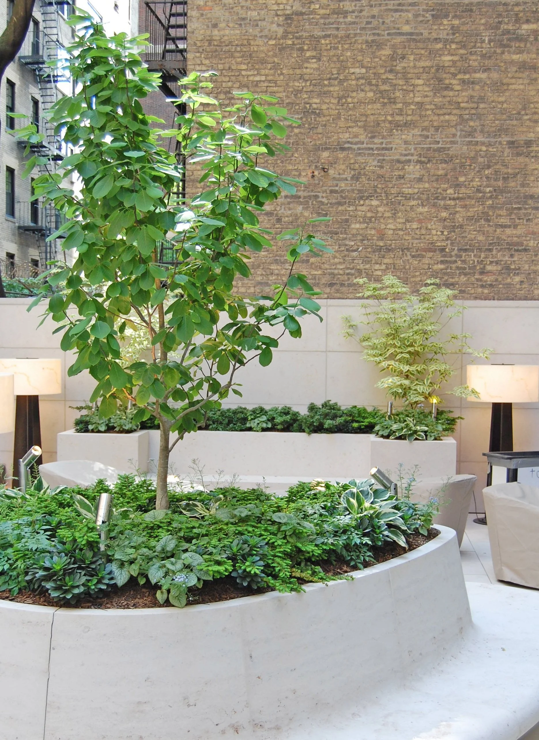 About — TOWN & GARDENS