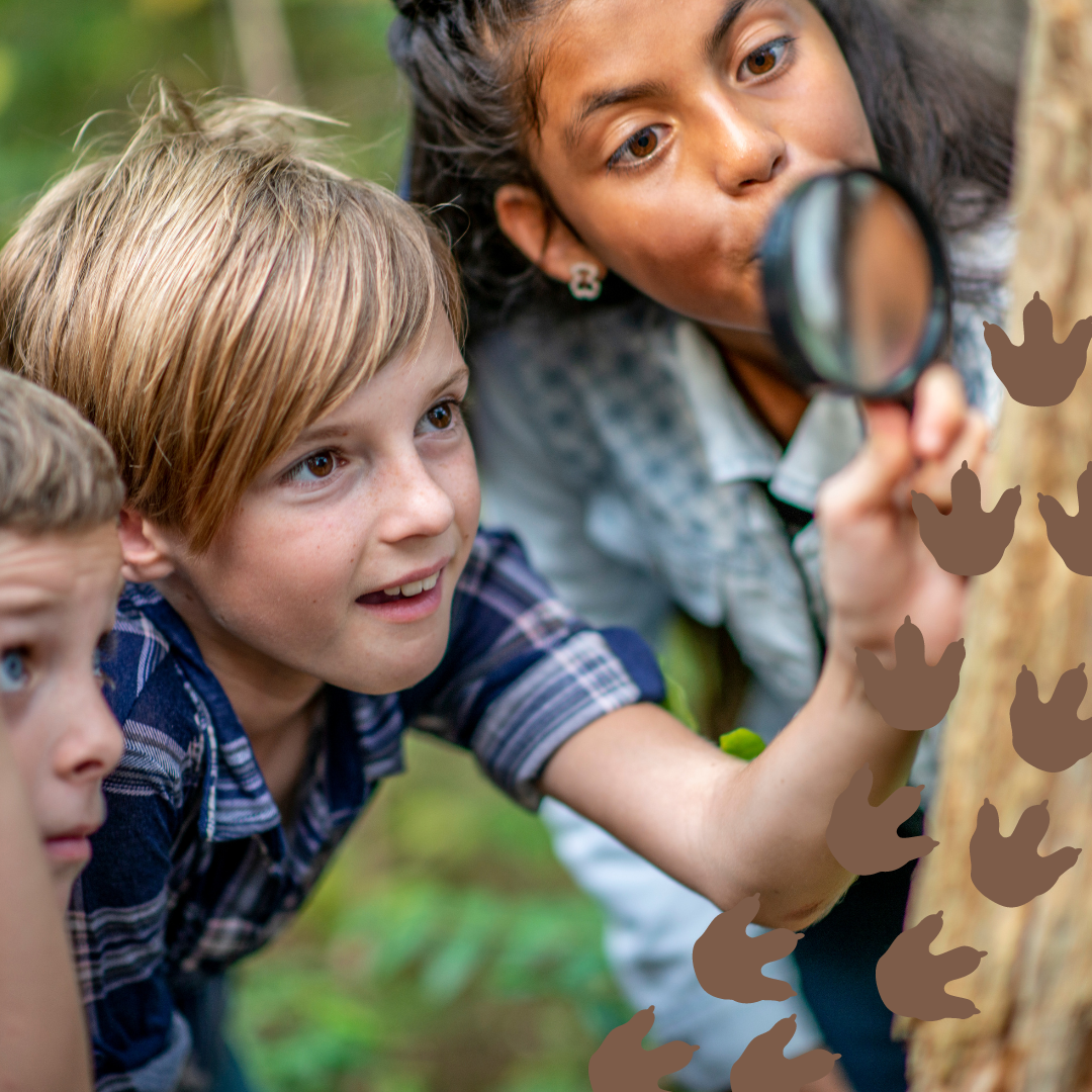 Little Explorers Lab