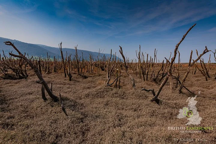 Exmoor - The Wilderness Coast