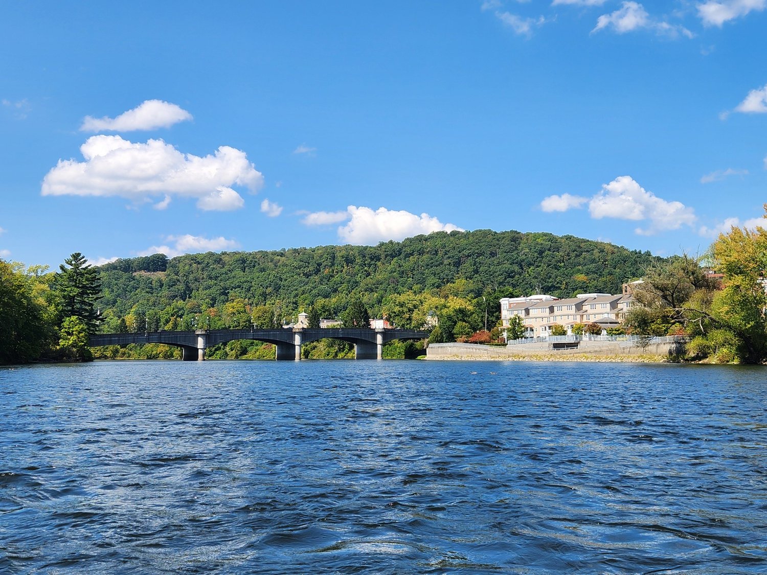 Allegheny River Hatch Chart & Fly Fishing Guide | Mountain Laurel Guide ...
