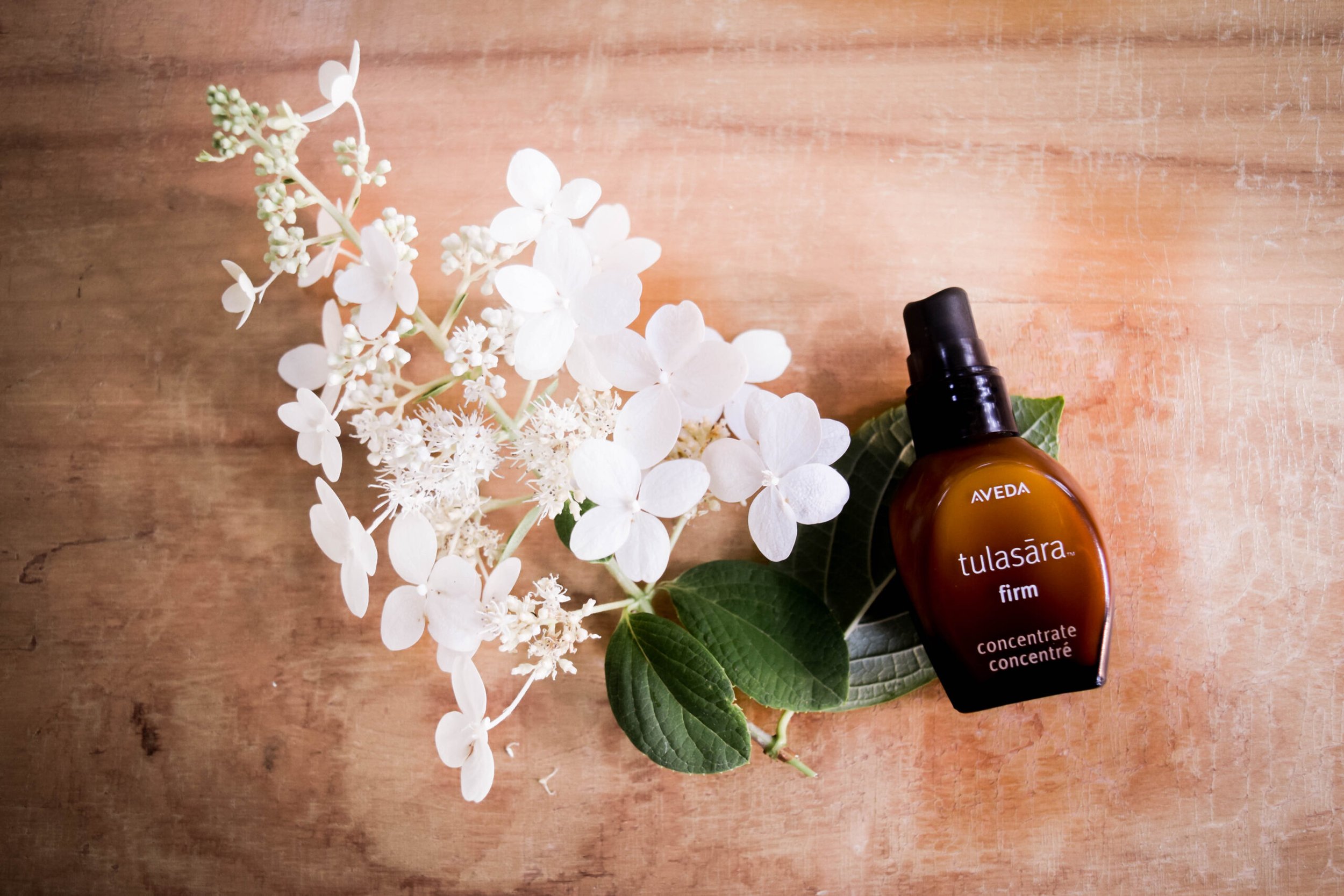 Aveda Skin Care — Salt and Sparrow Salon