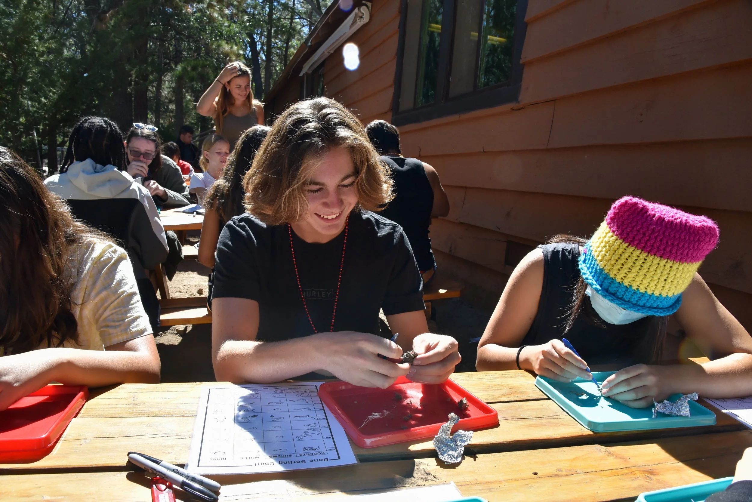 ABOUT — 4-H Summer Camp