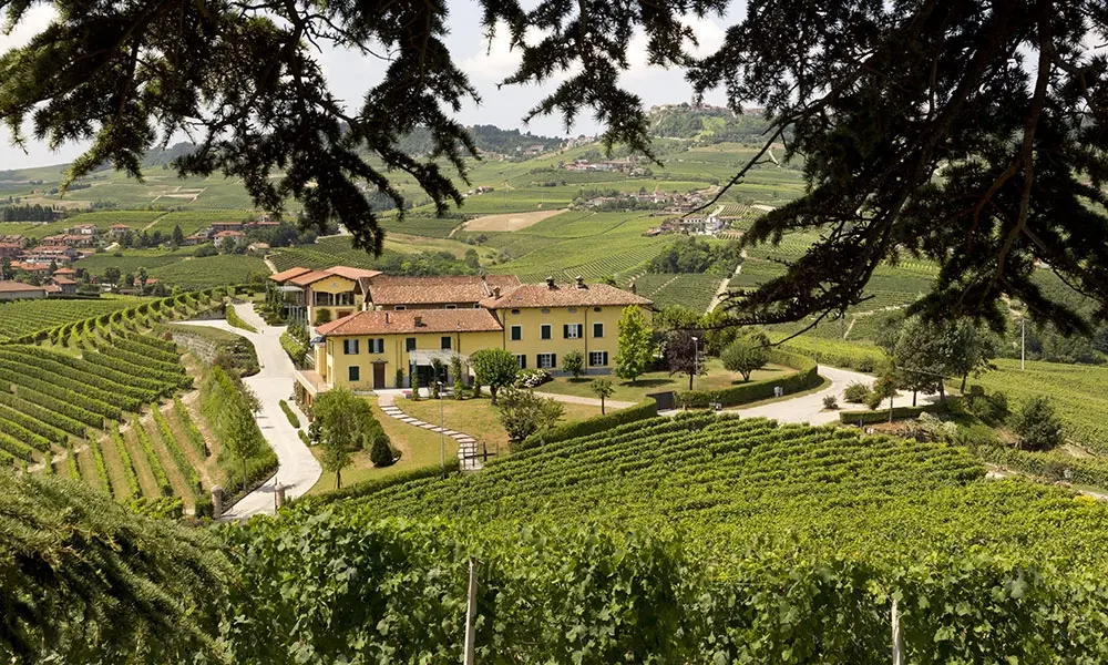7 Reasons Why an Italy Wine Tour Should Be on Your Honeymoon Itinerary ...