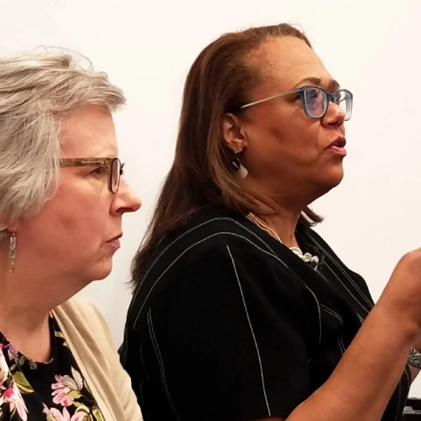 Grant Writing Mentors