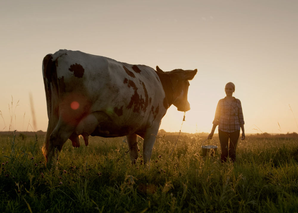 Software + Services — ABRI